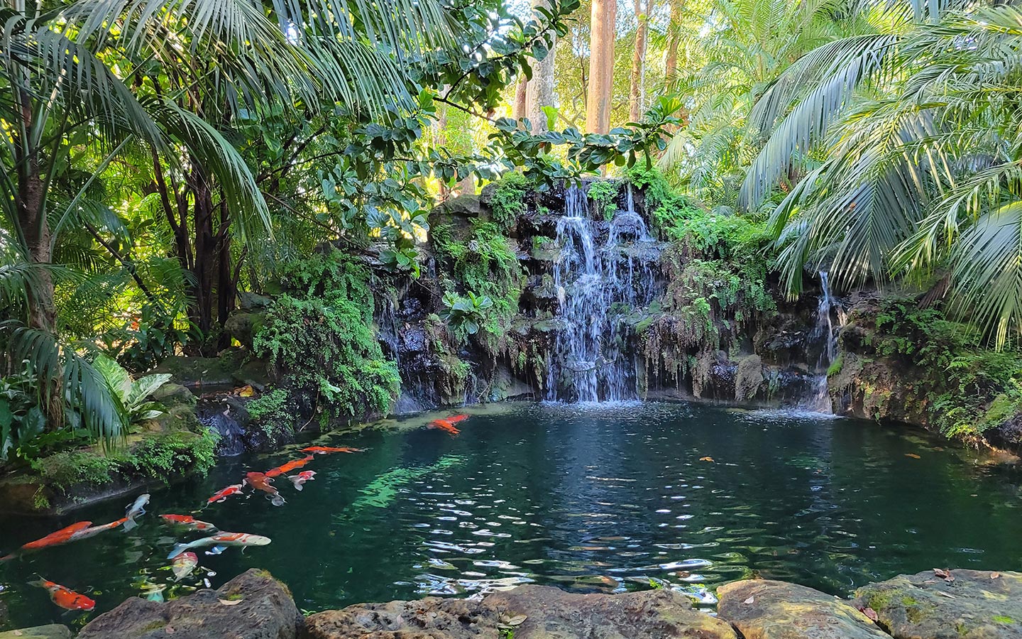 Redland Tropical Trail | Miami & Miami Beach