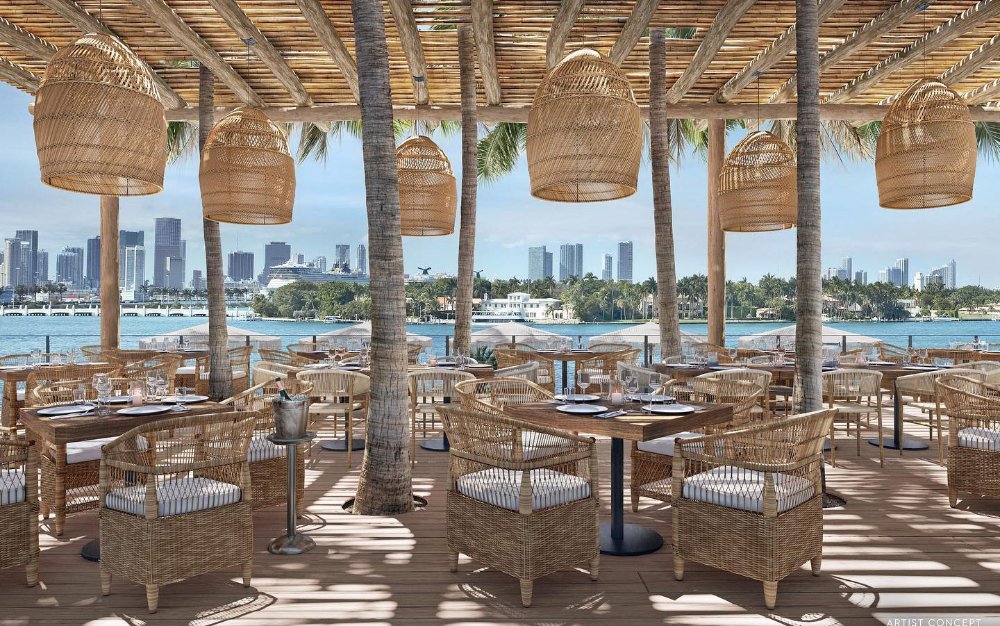 Savannah Bananas Guide | Miami & Miami Beach