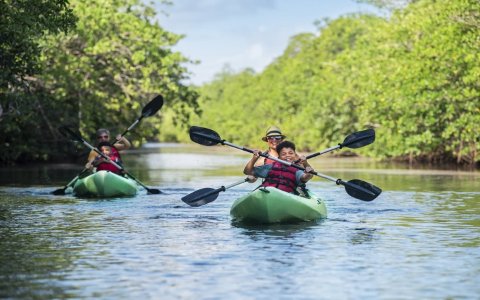 Outdoor Activities in Miami