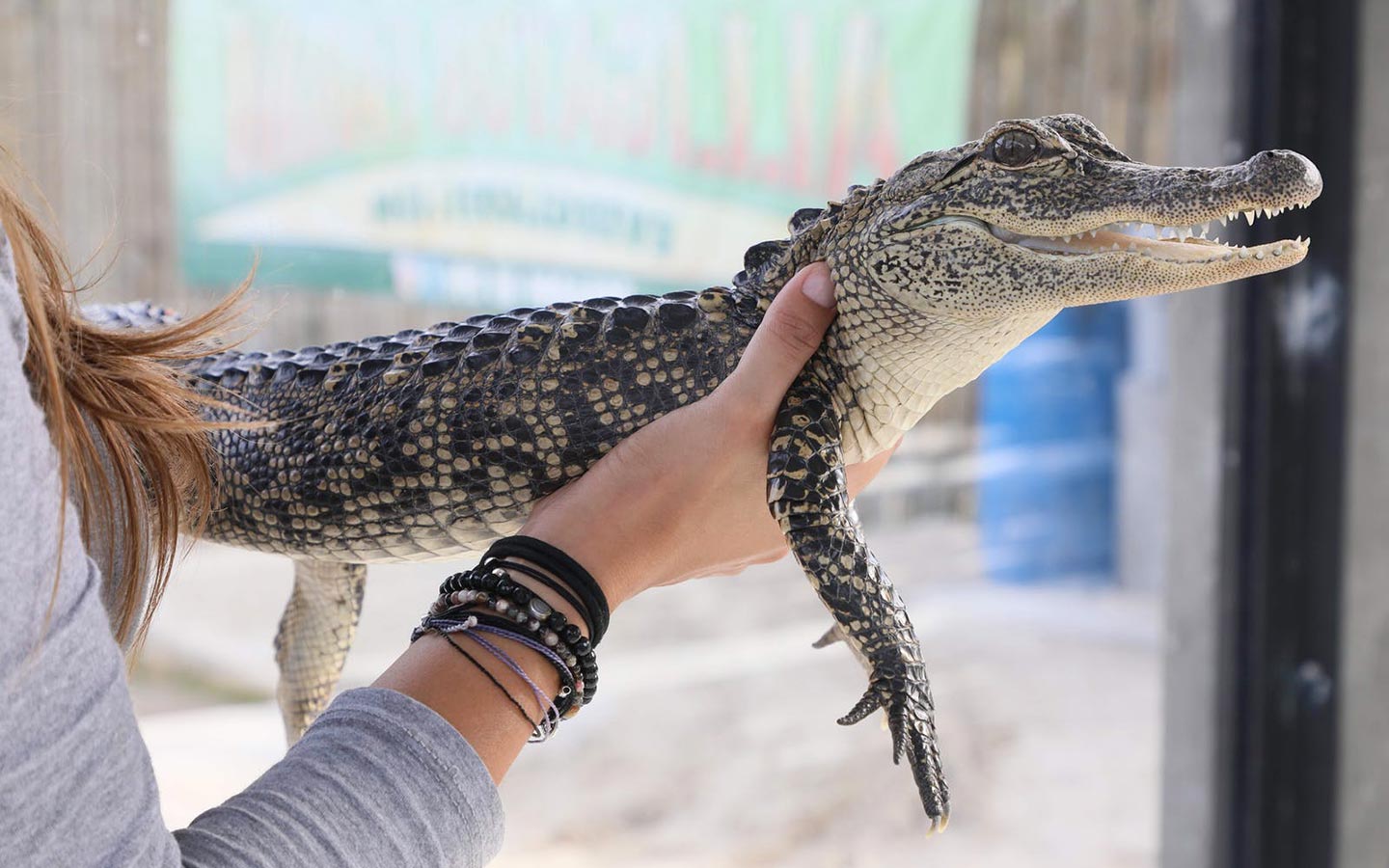 Sensory Friendly Museums and Attractions | Miami & Miami Beach