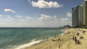 Spring in Miami | Miami & Miami Beach