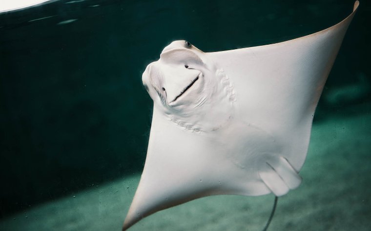 Spring Break for Families | Miami & Miami Beach