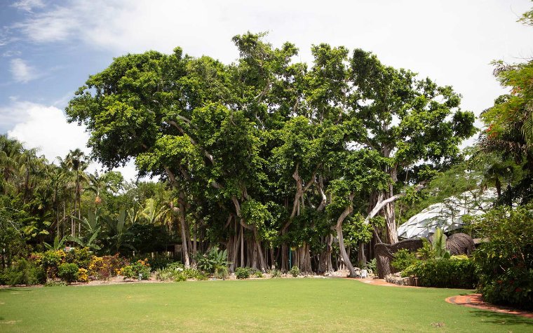 Arts & Culture in South Dade | Miami & Miami Beach