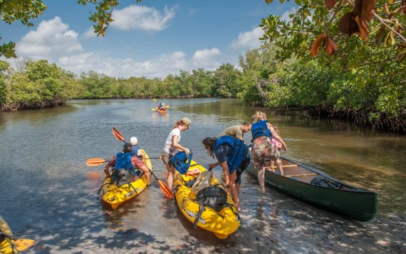 Miami's Great Kayaking and Canoeing | Miami & Miami Beach