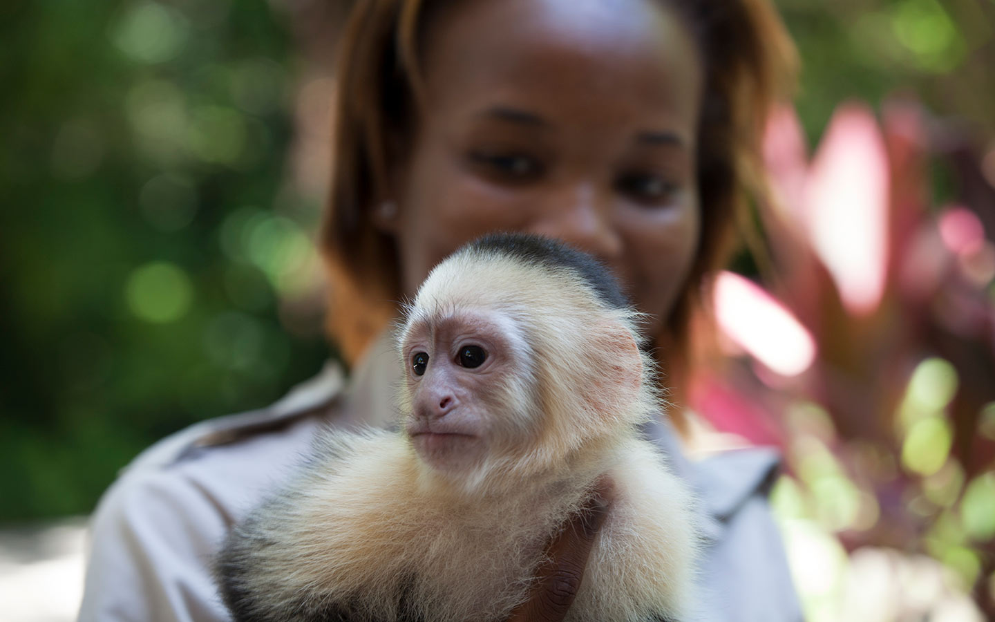 Top Miami Attractions | Greater Miami & Miami Beach