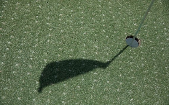 Things To Do In Key Biscayne | Miami & Miami Beach