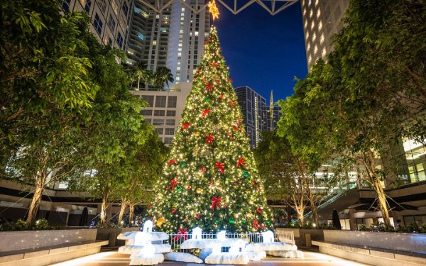 Brickell | Miami & Miami Beach