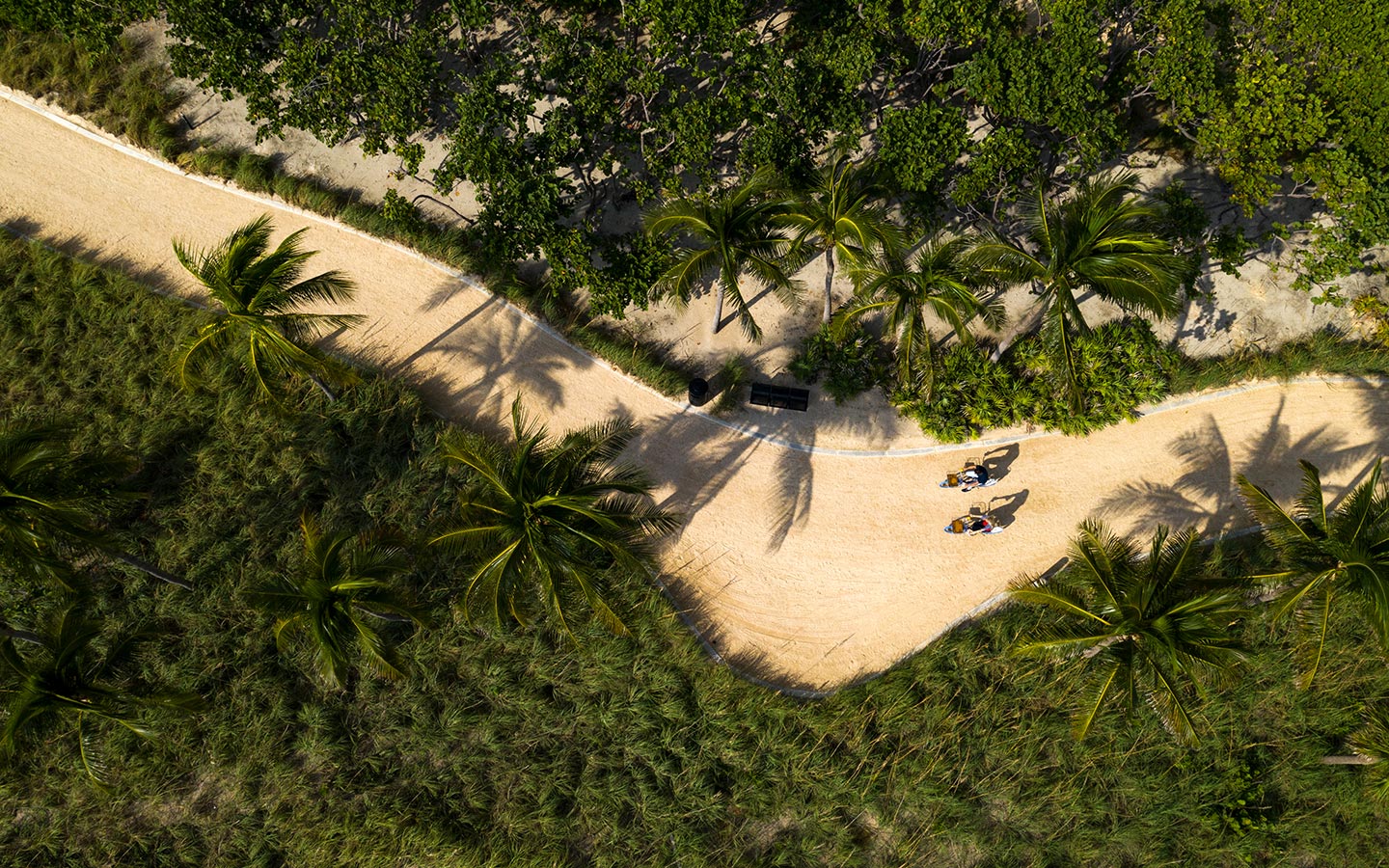 Plan a day in Bal Harbour | Miami & Miami Beach